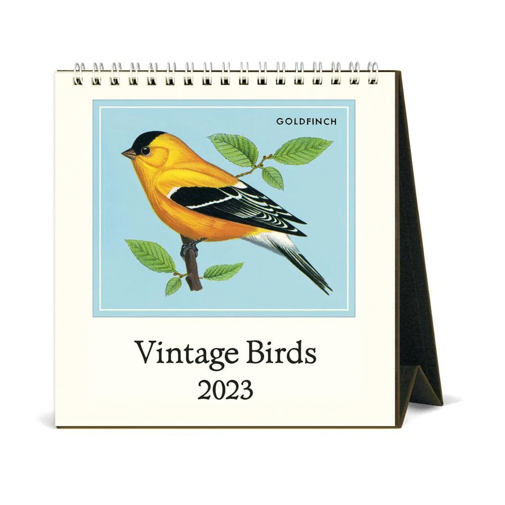 Birds: calendario de escritorio 2023. Agendas y calendarios. Cafebrería El Péndulo