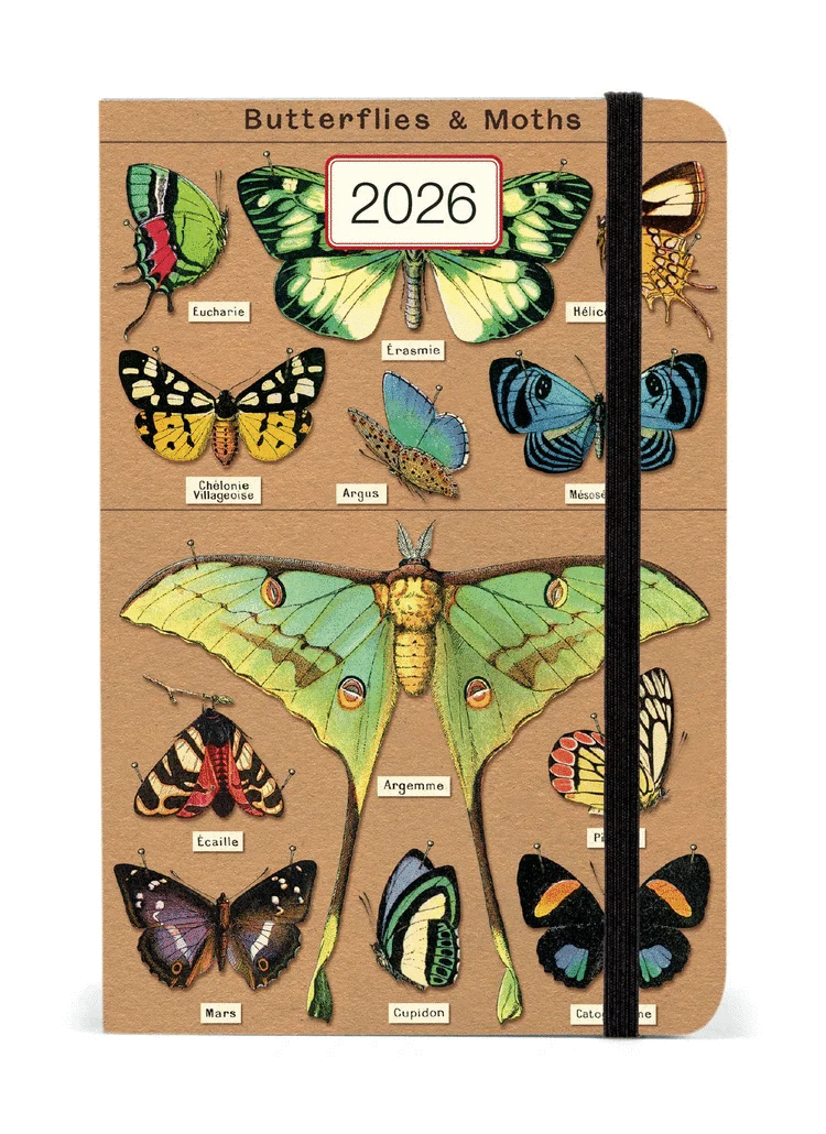Entomology: agenda 2026. Agendas. Cafebrería El Péndulo